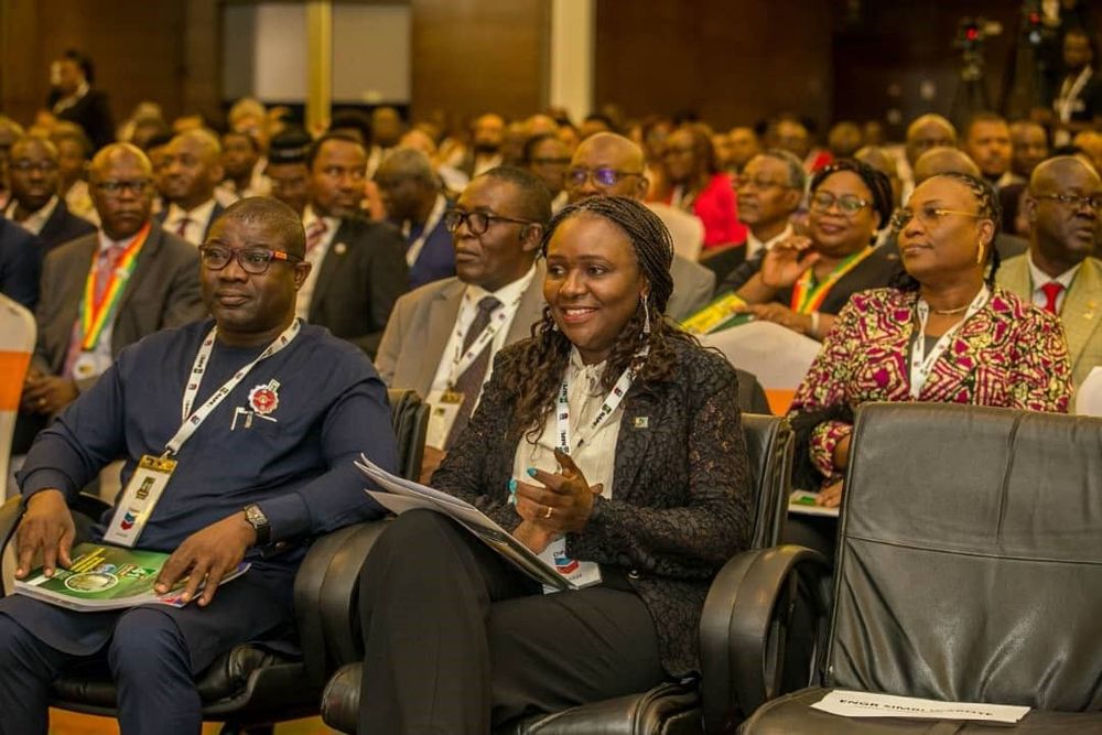 AT 41st NAPE CONFERENCE, KYARI ADVOCATES DIVERSIFIED ENERGY PORTFOLIO ...