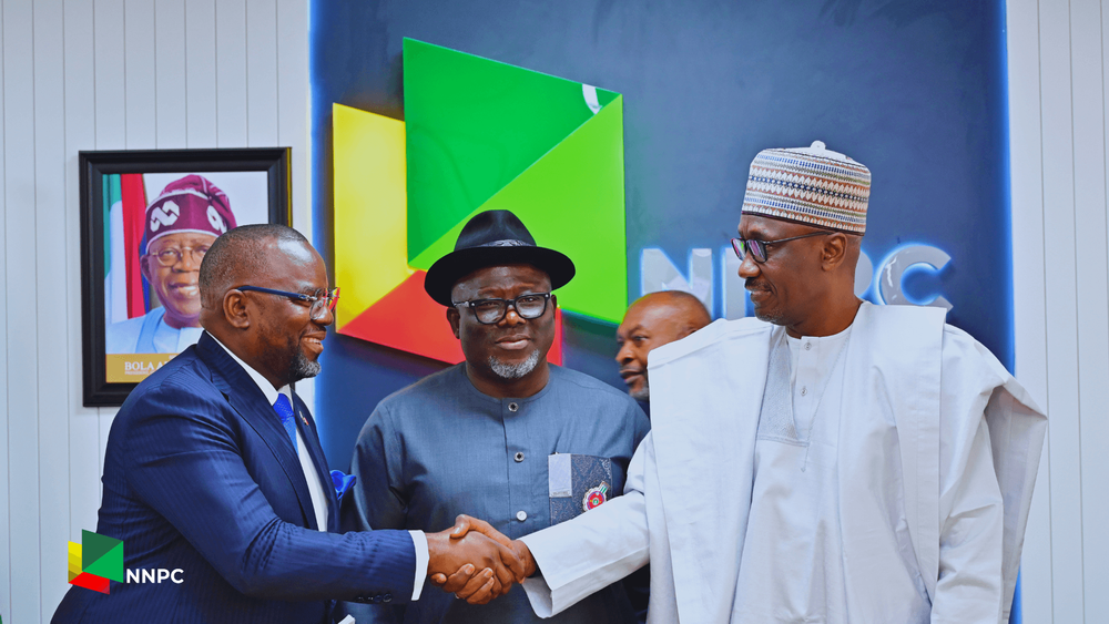 We’ll Use Gas to Revolutionise Nigeria’s Power, Industrial Sectors ...