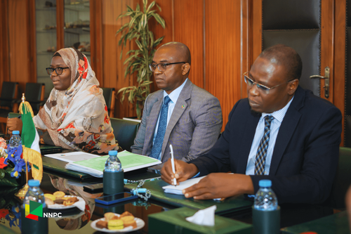 EVP, Gas, Power & New Energy's visit to ONHYM